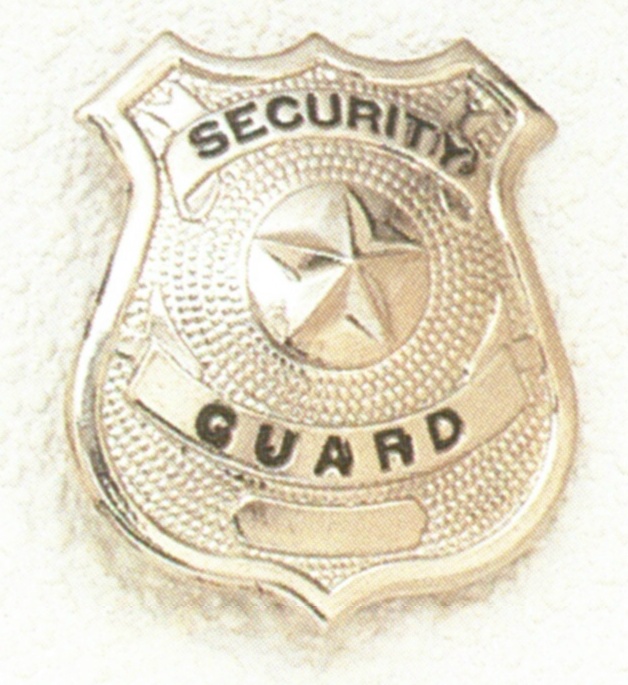 a-28150 security guard silver | Broadway Costumes